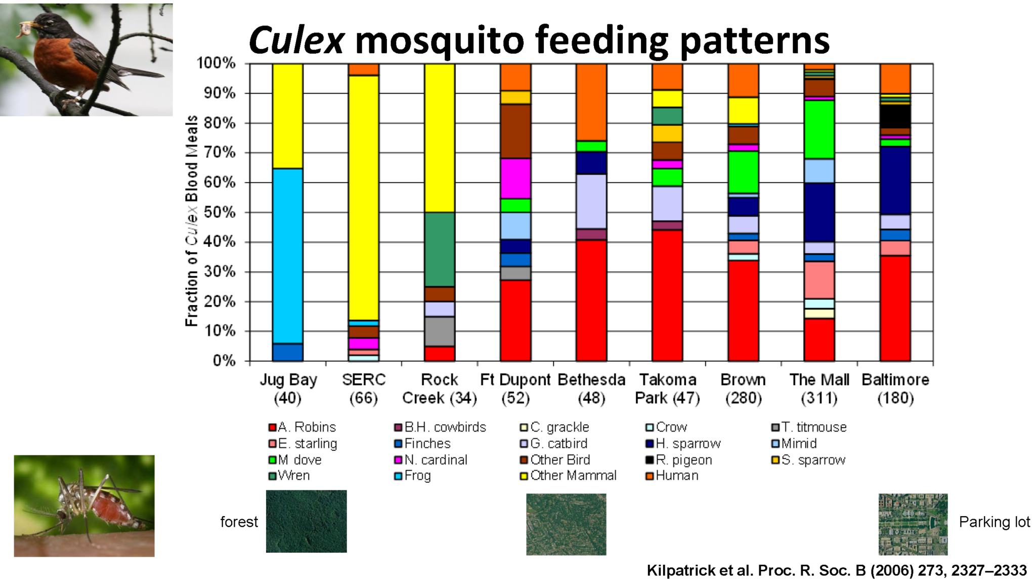 The impact of biotic and abiotic factors on vectorial capacity of Culex ...